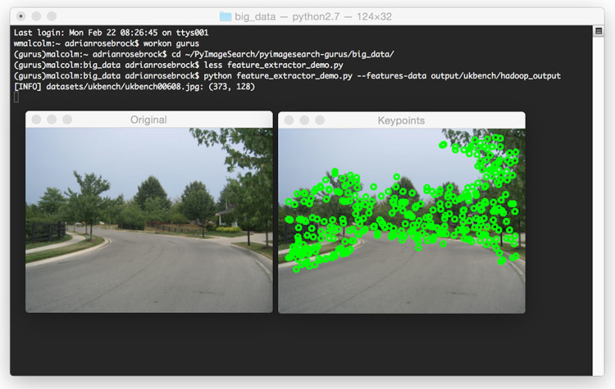 High-throughput feature extraction – PyImageSearch